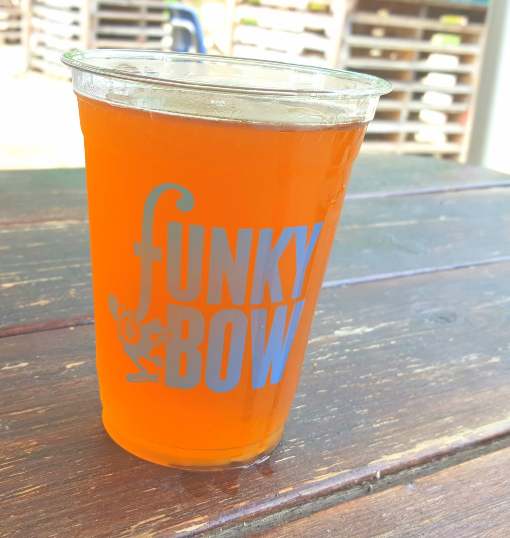 funky 8 | The Fossils